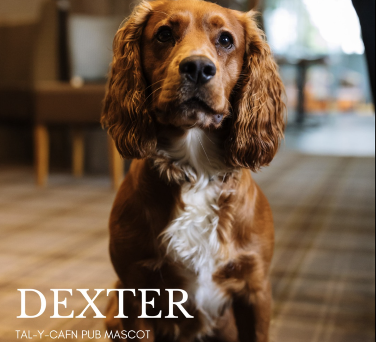 Menus - The Tal-Y-Cafn Welsh Foods