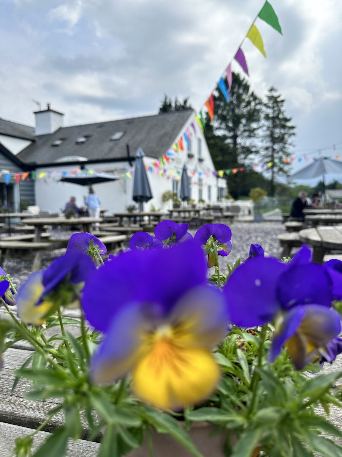 Stay With Us - The Tal-Y-Cafn Welsh Foods